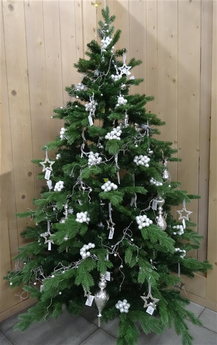 Garten-Center Spiegel - Alles was grünt und blüht